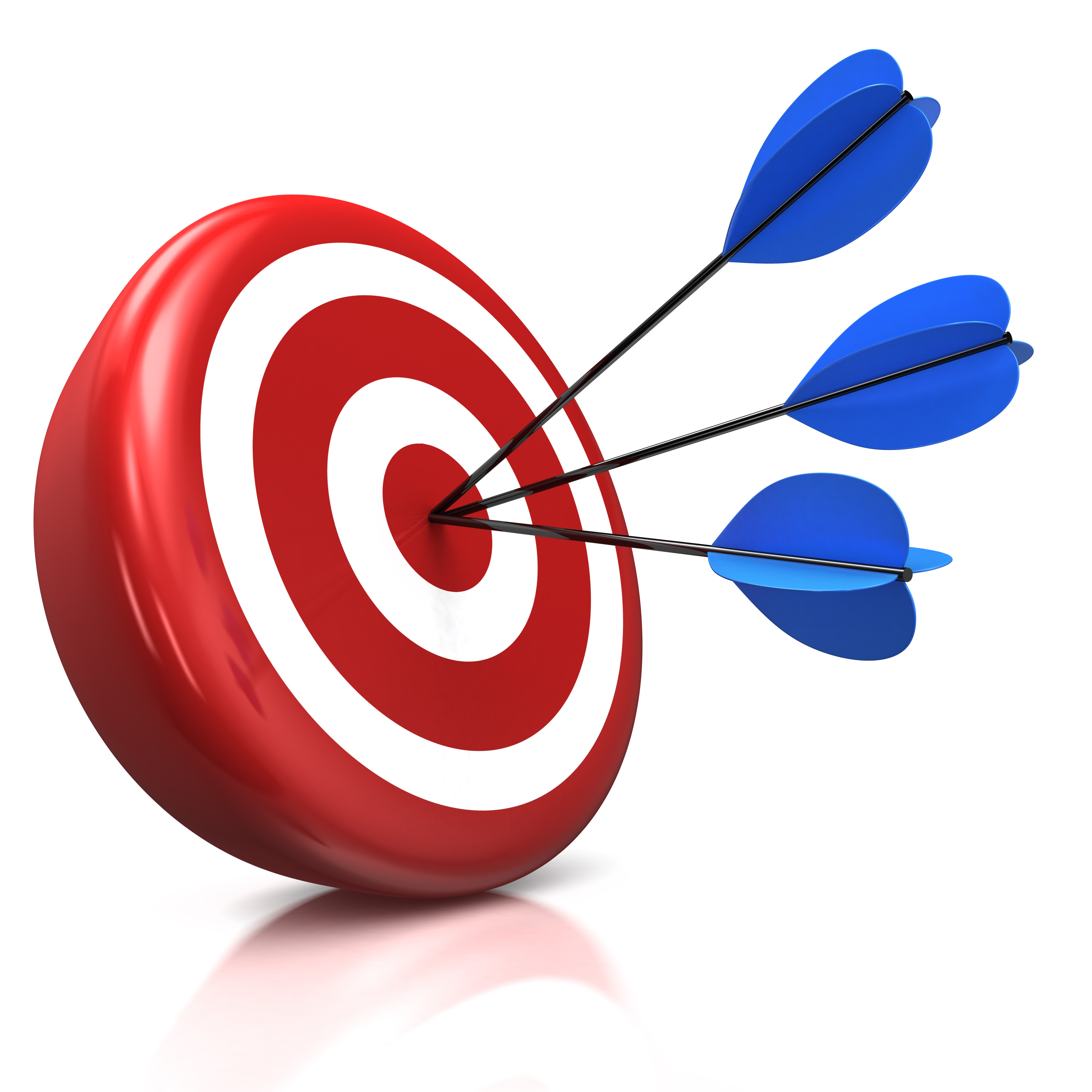 DATA TOOLS S.A - OBJETIVOS INSTITUCIONALES